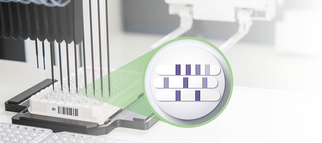 Ihr Partner für das diagnostische Labor